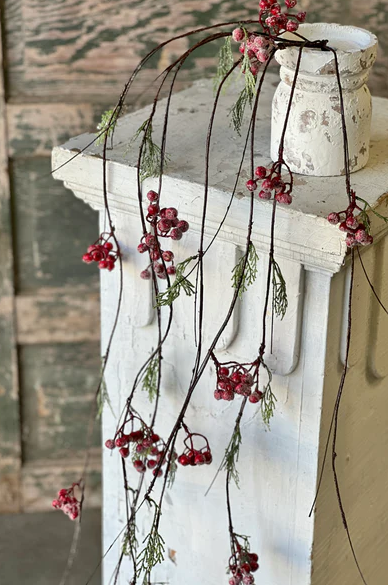 Ice Berry Cedar Vine | Sweet P General
